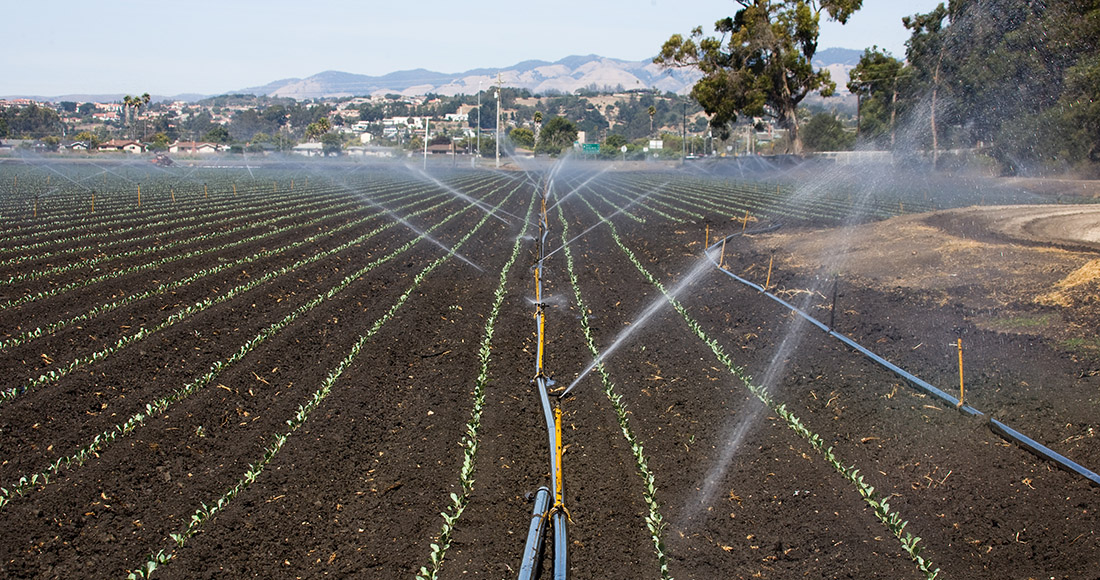 Robot-Assisted Precision Irrigation and Diagnostics - CITRIS and the ...