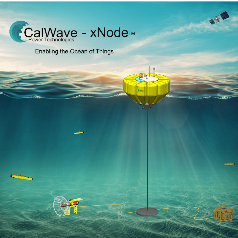 Founding the Future: Highlights from the First Cohorts of the CITRIS ...