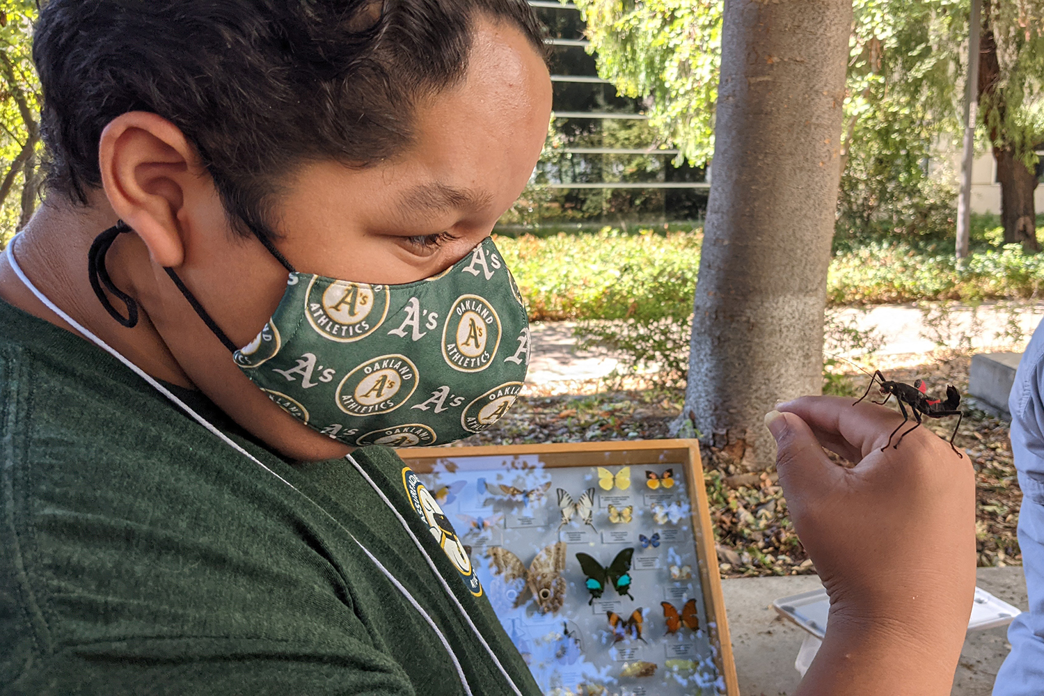 Davis Drone Academy returns to campus, ready to fly - CITRIS and the ...