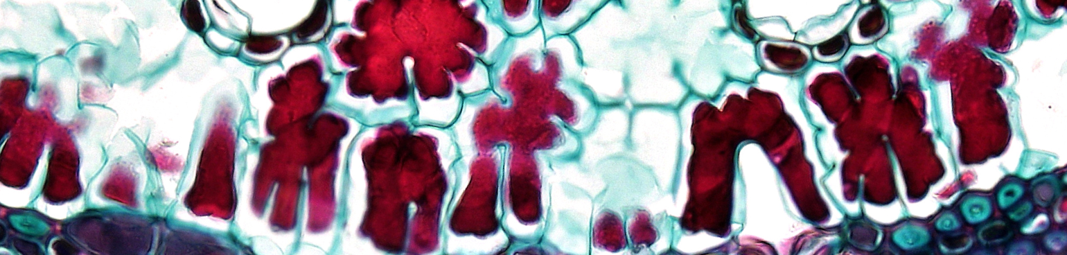 Foundry alum partners with Genentech for nonviral gene therapy delivery ...